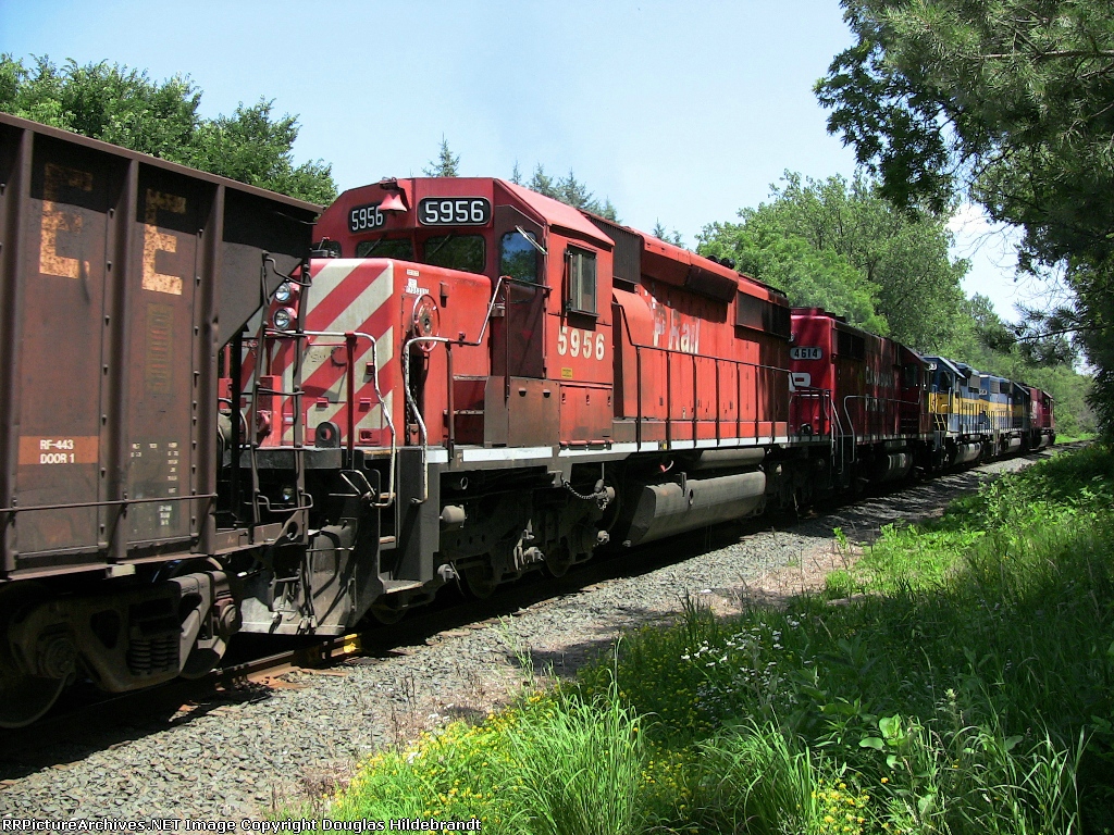 CP 5956